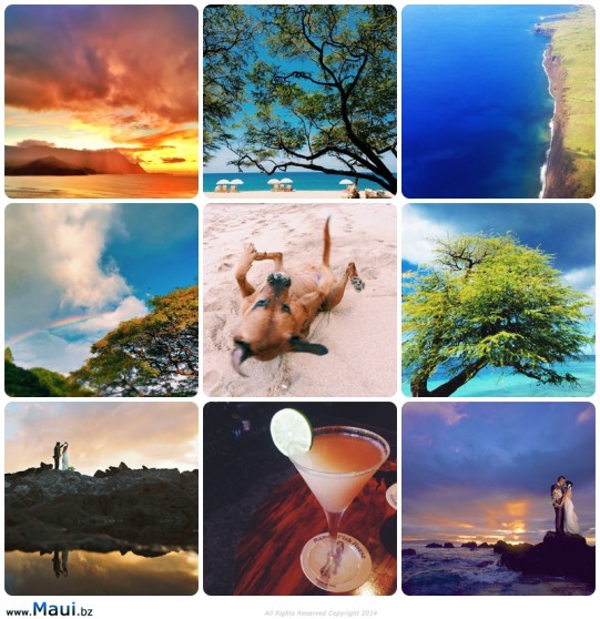 Best Maui Instagram Accounts - Maui Information Guide