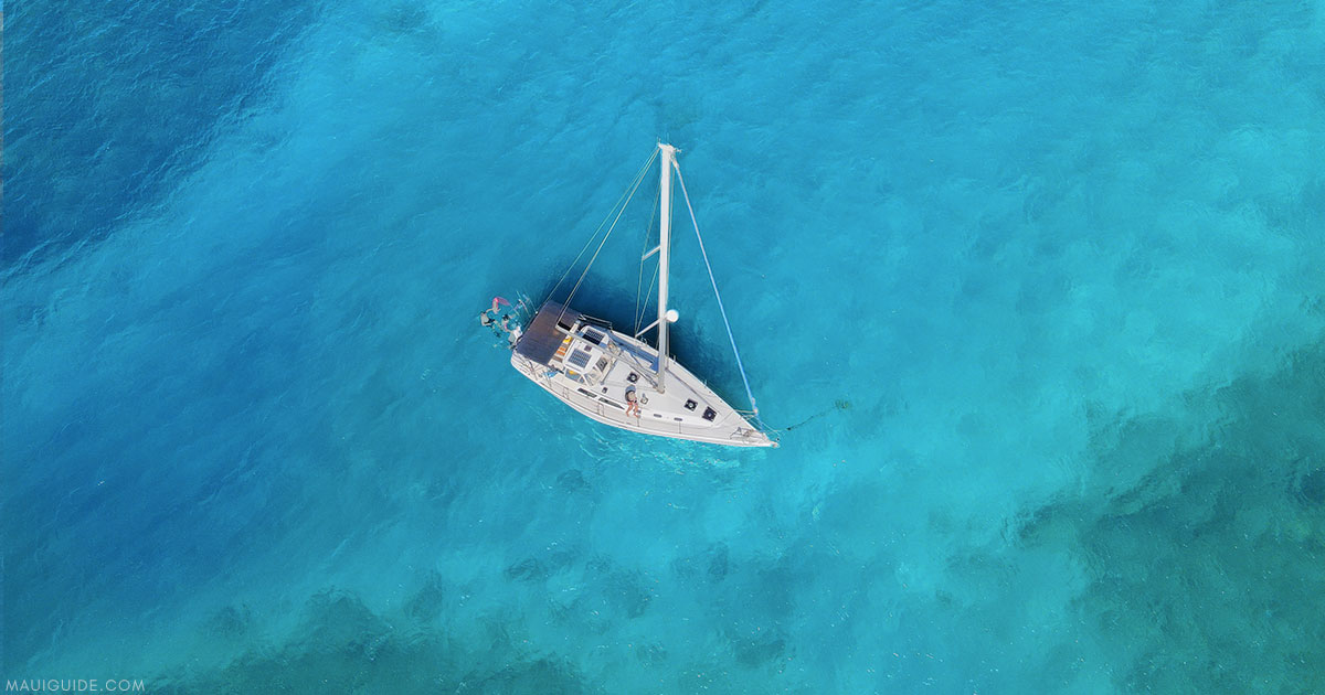 Winning on Water - Private Maui Sailing Charters