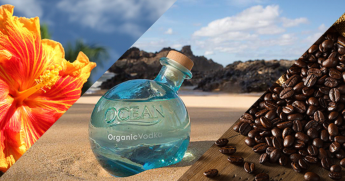 The Procrastinator's Last-Minute Gift Guide to Maui - Maui Information ...