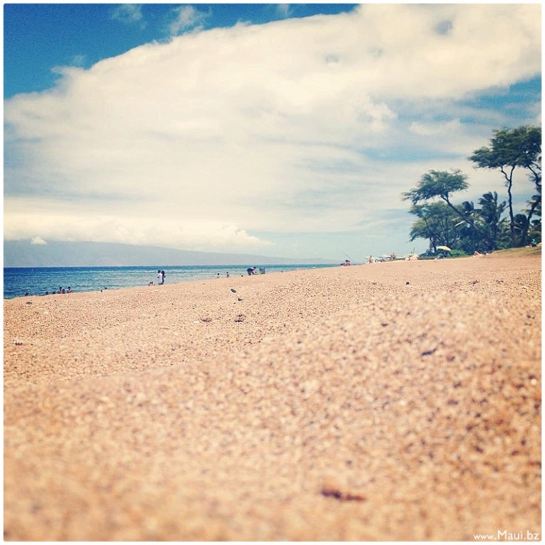 Tropical Book Inspiration - Maui Information Guide