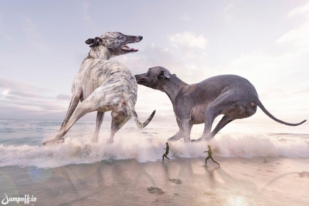 Magical Maui - Surreal Imagery by Maui's Jesse Lee