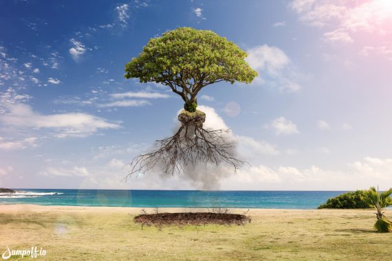 Magical Maui - Surreal Imagery by Maui's Jesse Lee