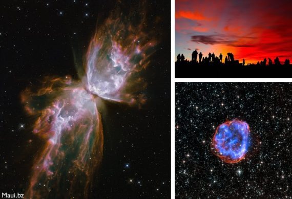 Truly Unique Things To Do on Maui