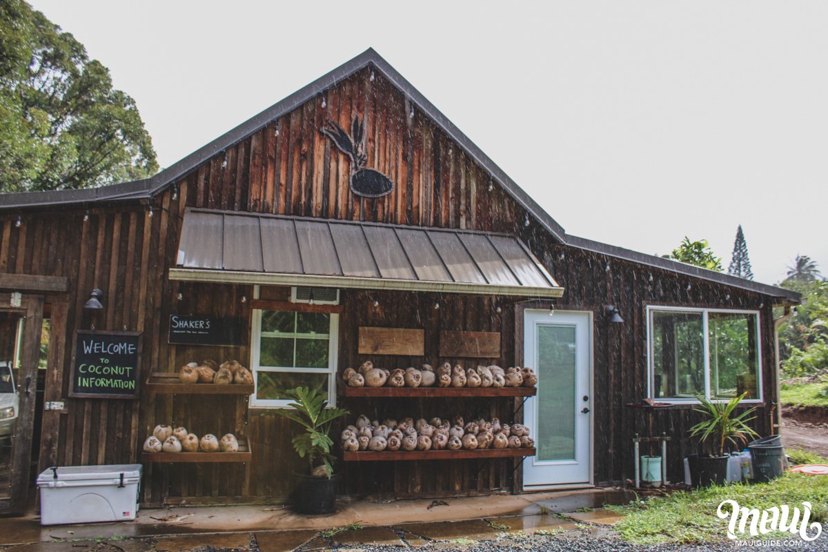 Coconut Information Farm and Cooking School
