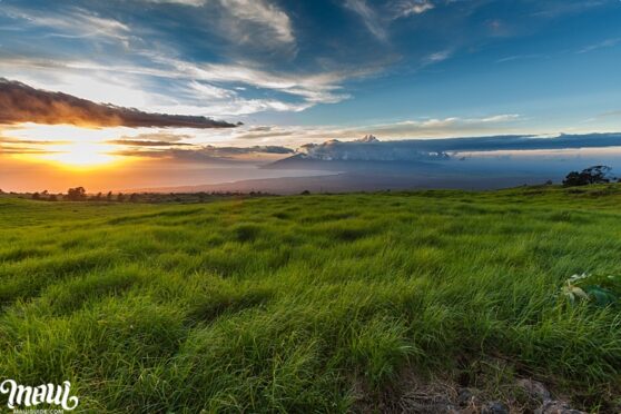 Kula, Maui - Map, Photos, and Hawaii Information