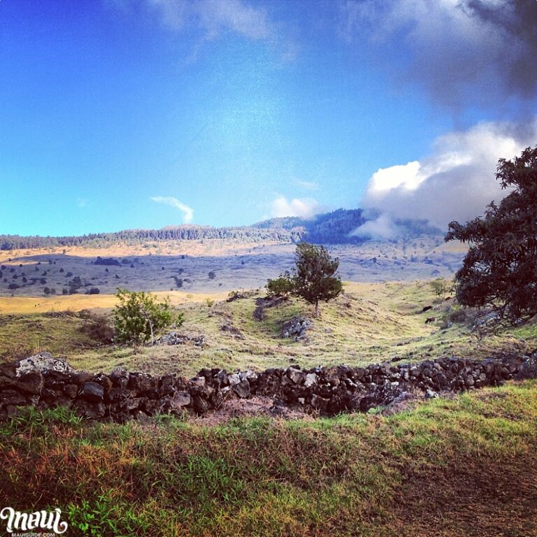 Kula, Maui - Map, Photos, and Hawaii Information