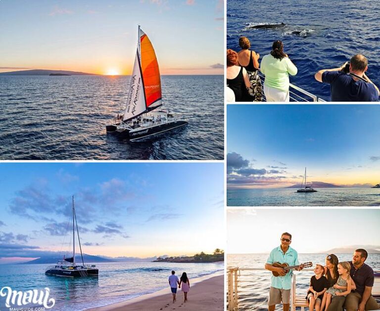 Maui Sunset Dinner Cruises | Best Hawaii Cocktail and Whale Cruise