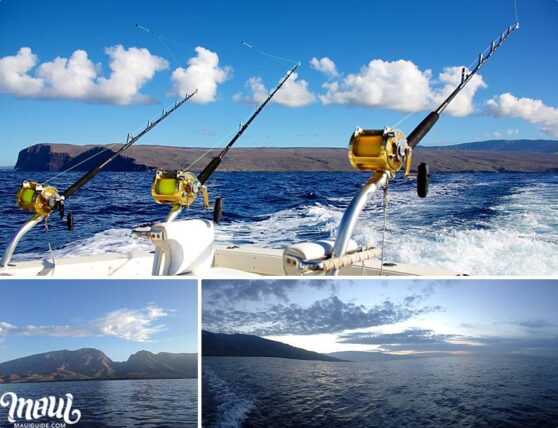 Maui Fishing | Kihei & Wailea Bottom Fishing, Maui Private Charters