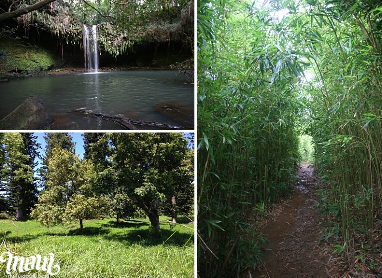 Paia Maui - Photos, Map & Information for Maui's hippie town of Paia