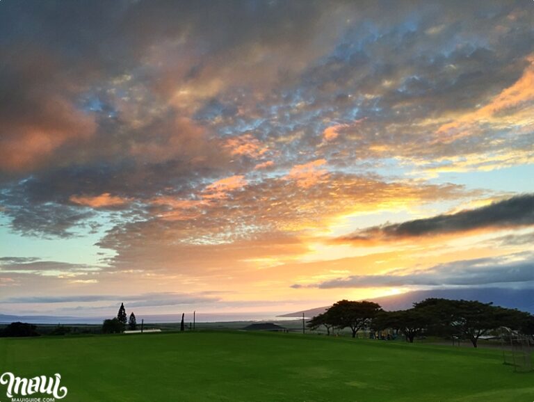 Pukalani Maui - Map, Photos and Hawaii Information | Upcountry