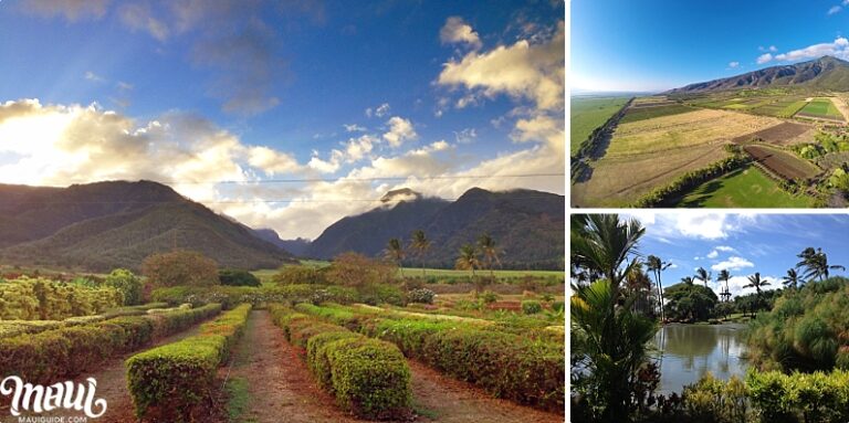 Waikapu Maui - Map, Photos and Hawaii Information