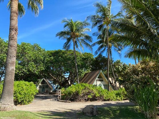 Camp Olowalu - Camping On Maui