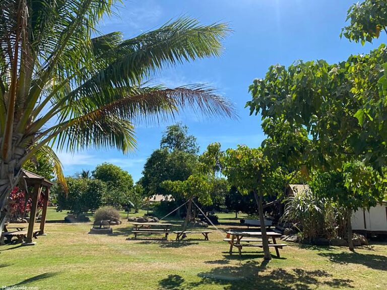 Camp Olowalu - Camping On Maui