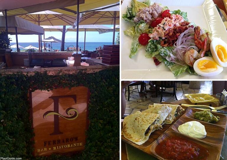 Four Seasons Maui - Full Review, Information, and Recommendations