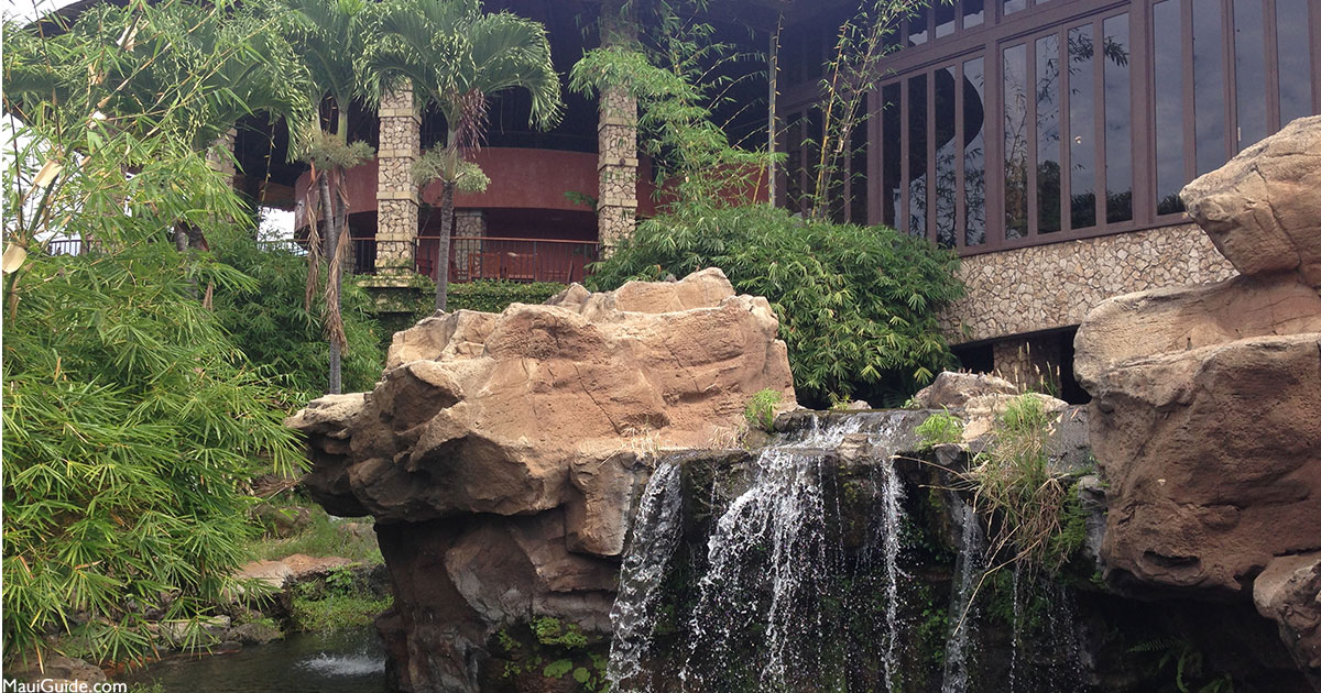 Kaanapali Beach Hotel - Reviews, Photos, and Information