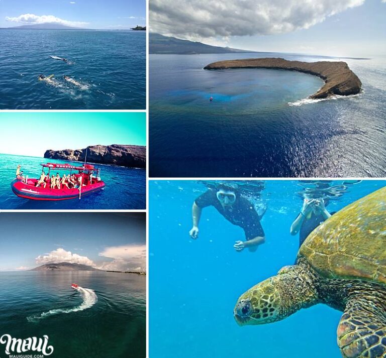 Maui Rafting | Maui Ocean Rafting to Snorkel, Scuba, Explore