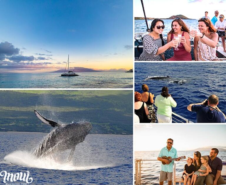 Maui Sailing - Sailing on Maui Information and Recommendations