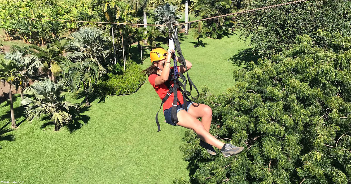 Maui Zipline Company - Photos, Video and Info on Waikapu Zipline Tours