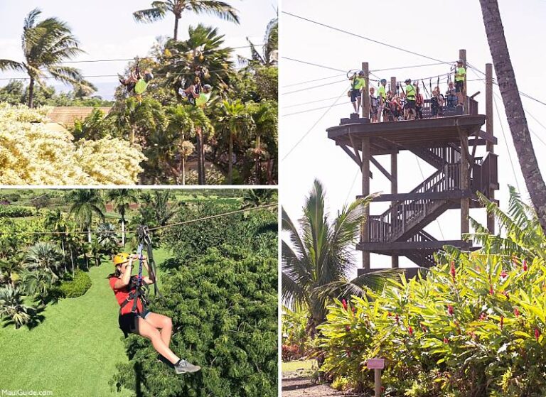 Maui Zipline Company - Photos, Video and Info on Waikapu Zipline Tours