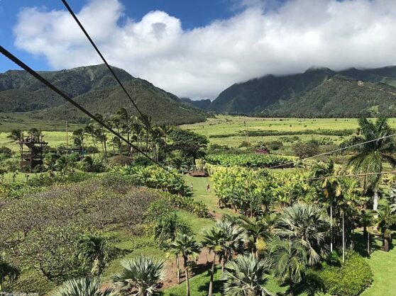 Maui Zipline Company - Photos, Video and Info on Waikapu Zipline Tours
