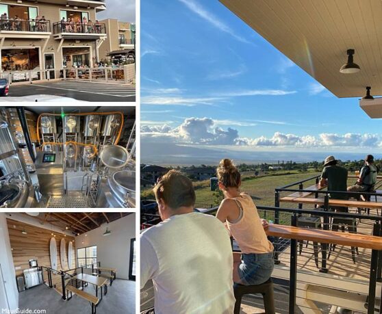Mahalo Aleworks Brewery | Upcountry Maui Restaurant Review