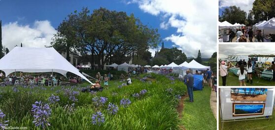15 Annual Maui Events You Didn't Know About - Hawaii Island Information