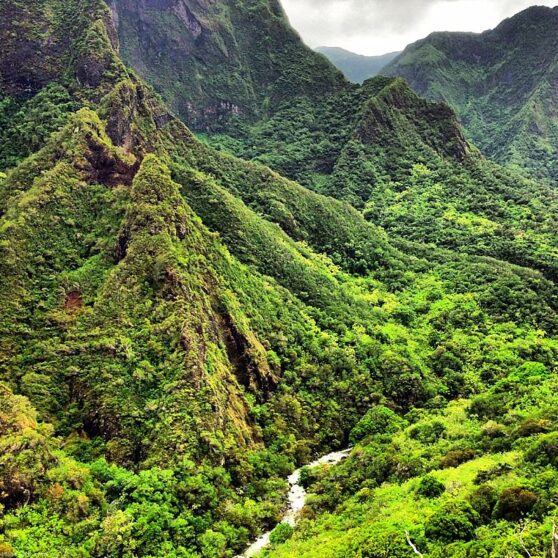 Iao Valley Information & Hiking Map - Maui Information Guide