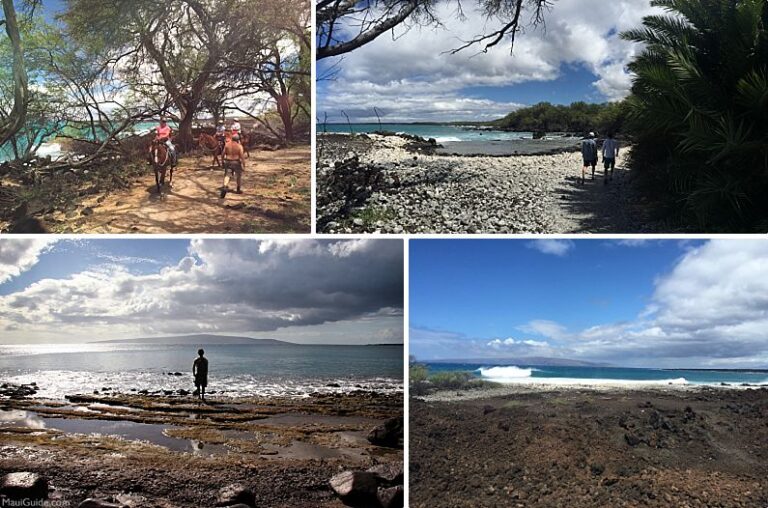 Ultimate Guide to La Perouse Bay - Maui Information Guide