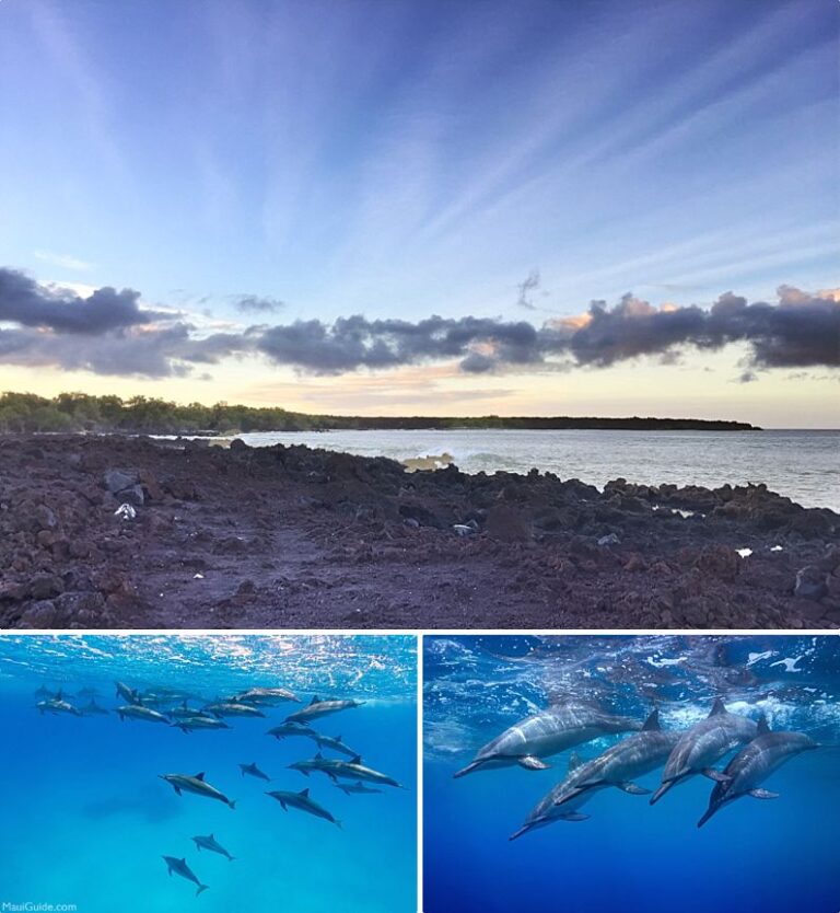 Ultimate Guide to La Perouse Bay - Maui Information Guide